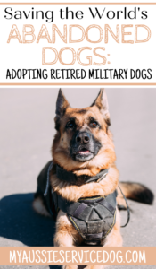 Saving the World's Abandoned Dogs: Adopting Retired Military Dogs - My ...