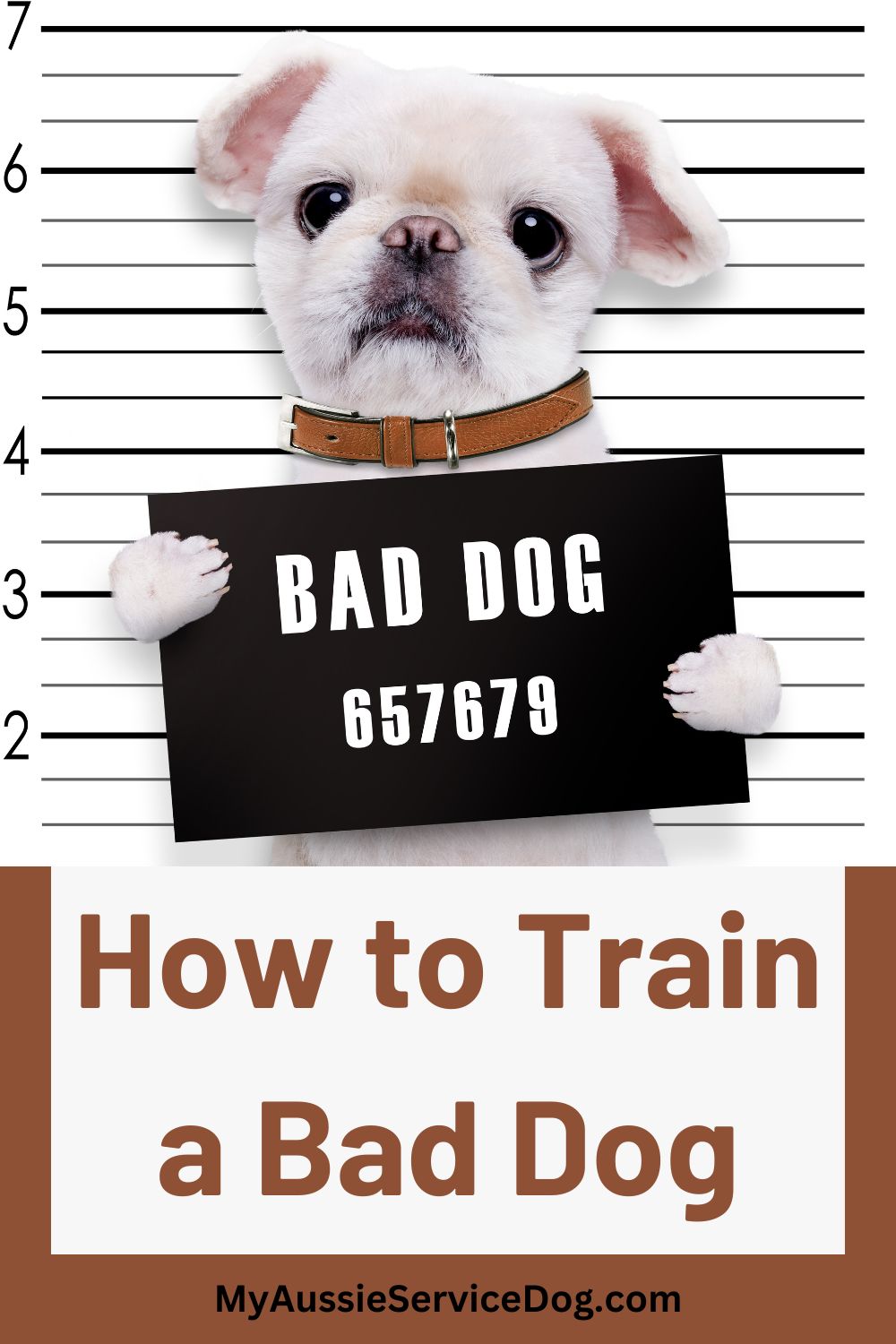 How to Train a Bad Dog: Expert Tips and Techniques - My Aussie Service Dog