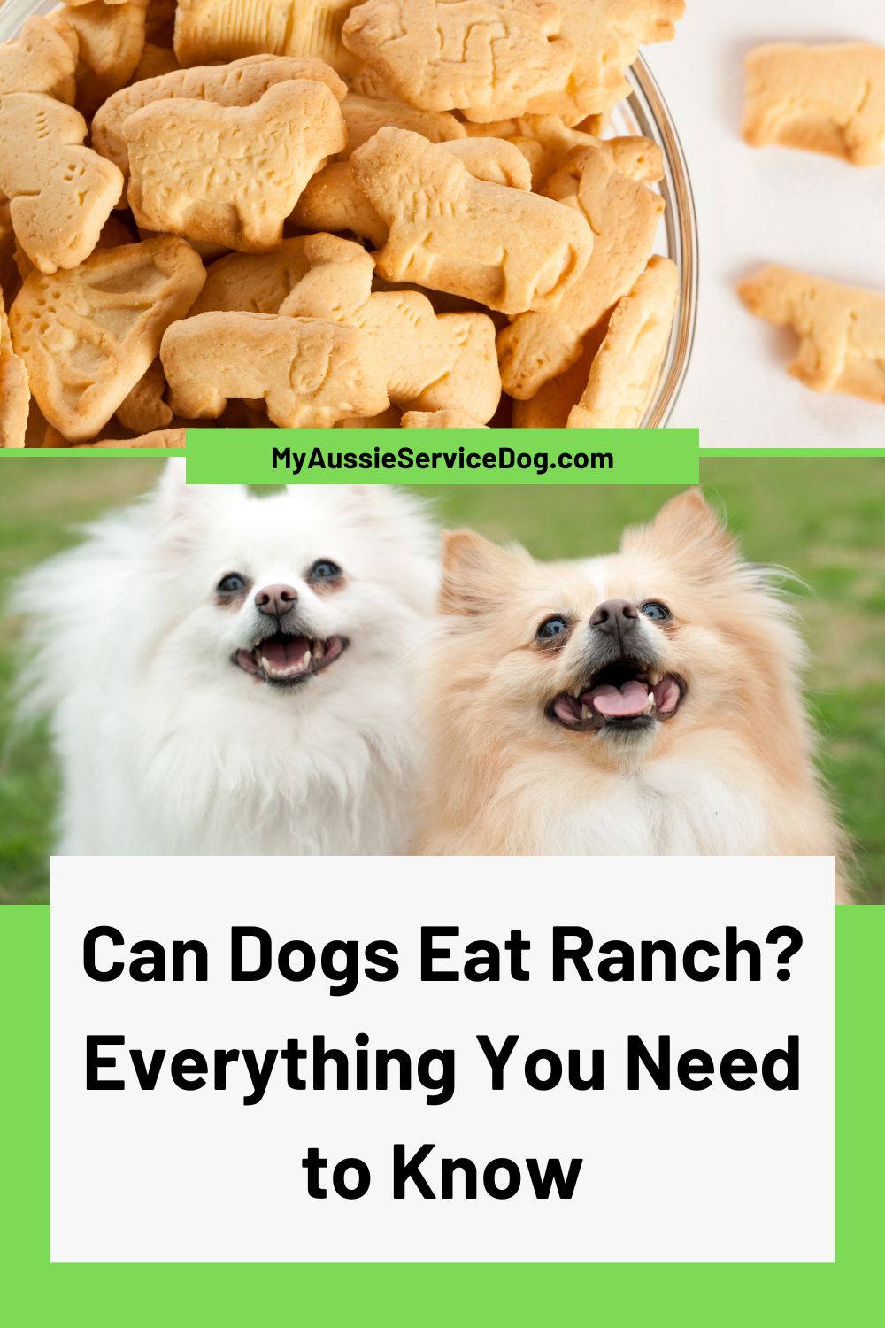 Can Dogs Eat Animal Crackers? Expert Insights and Recommendations - My ...