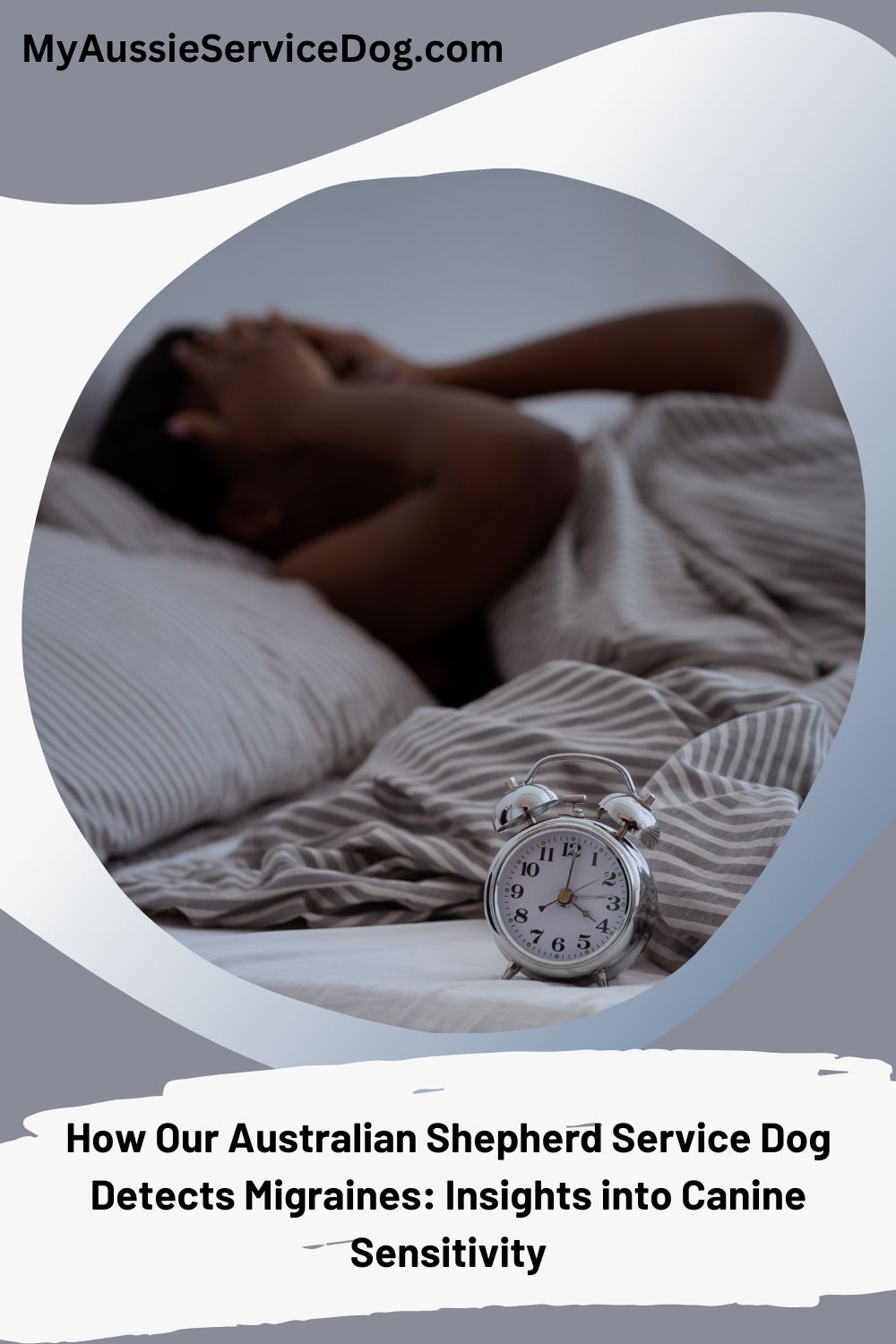 How Our Australian Shepherd Service Dog Detects Migraines: Insights ...