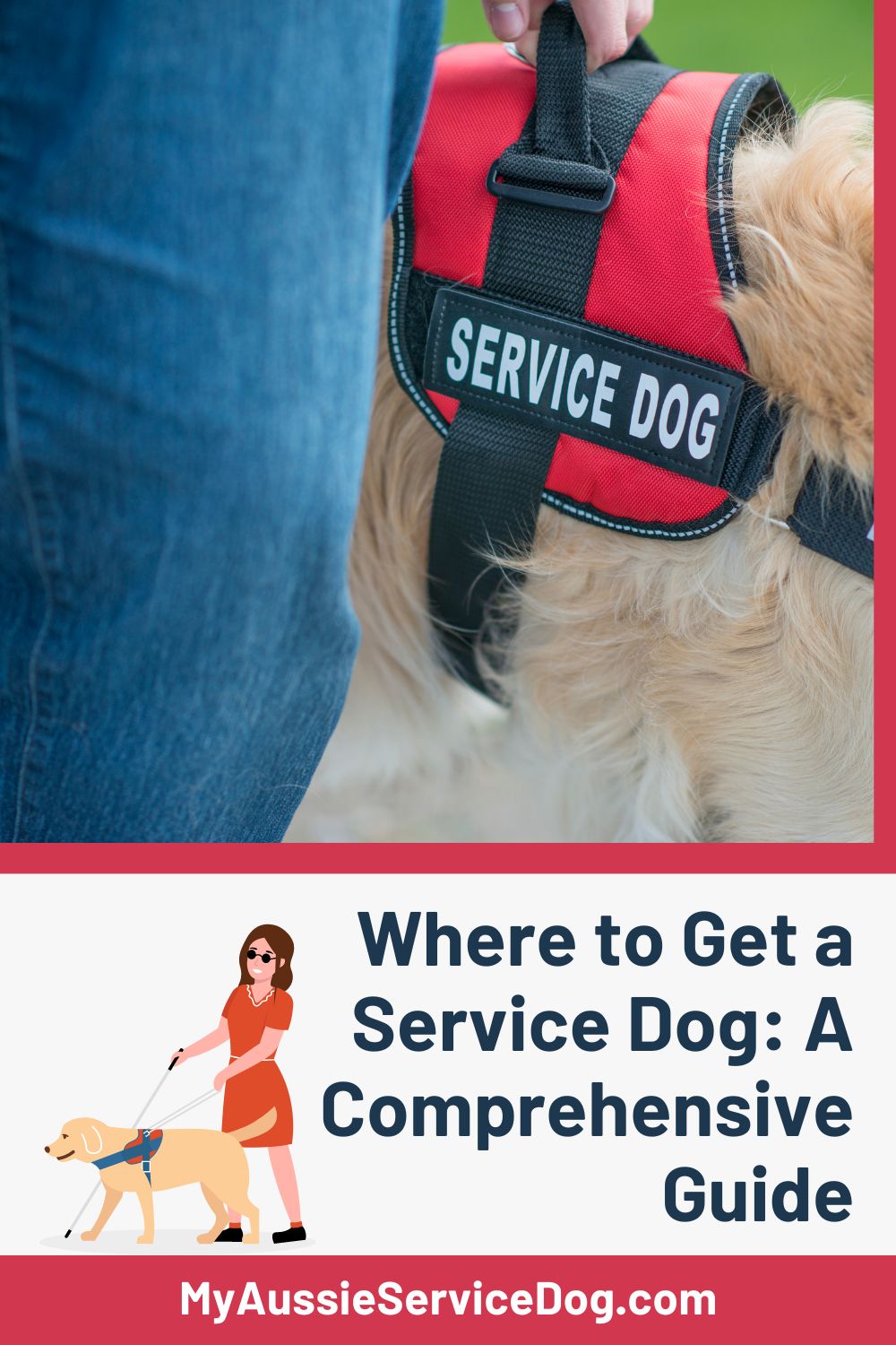 Where to Get a Service Dog: A Comprehensive Guide - My Aussie Service Dog