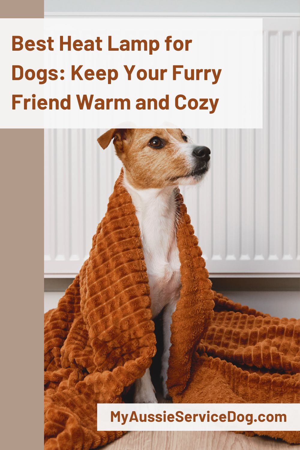 Best Heat Lamp for Dogs: Keep Your Furry Friend Warm and Cozy - My ...