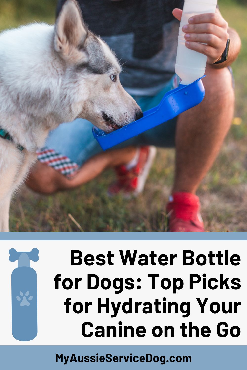 Best Water Bottle for Dogs: Top Picks for Hydrating Your Canine on the ...
