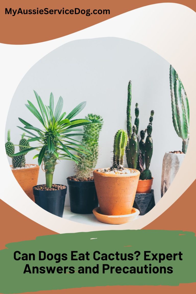Can Dogs Eat Cactus? Expert Answers and Precautions - My Aussie Service Dog
